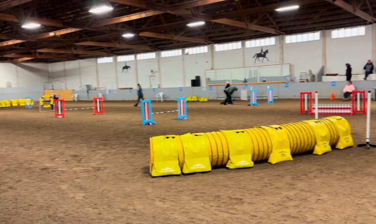 SAA – Saskatchewan Agility Association